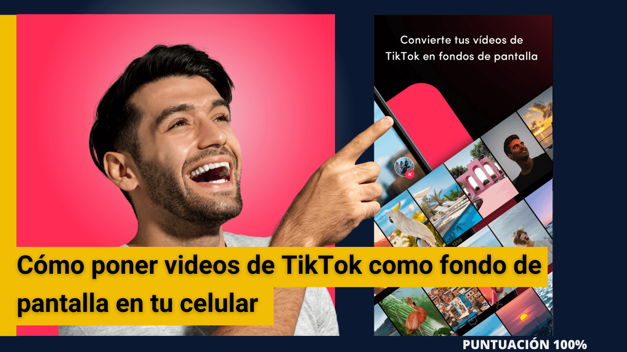 C mo Poner Videos De TikTok Como Fondo De Pantalla En Tu Celular C mo Poner Videos De TikTok Como Fondo De Pantalla En Tu Celular